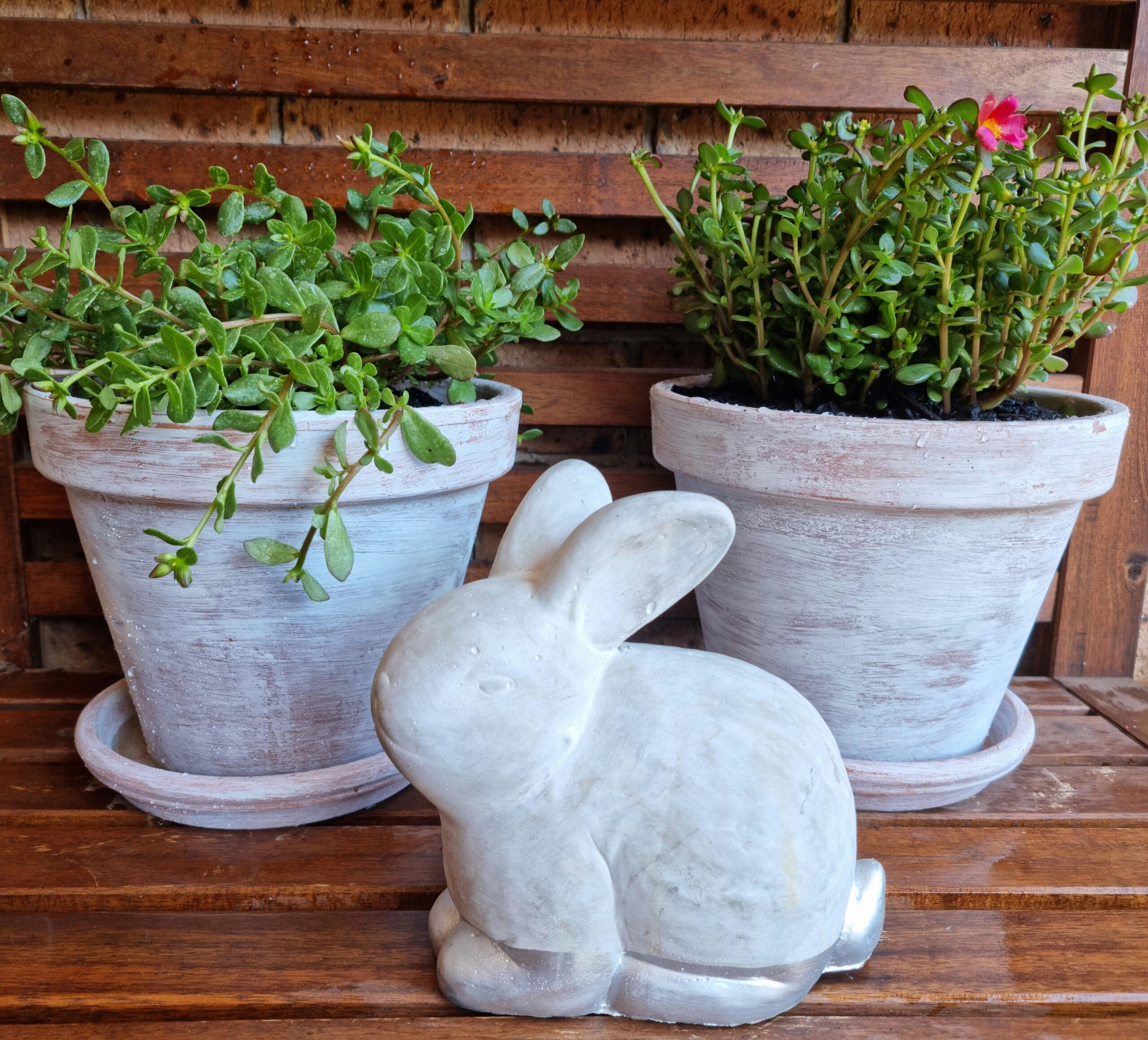 WSS Home: Provincial Style Pots Using Chalk Paint - Woman of Style and ...