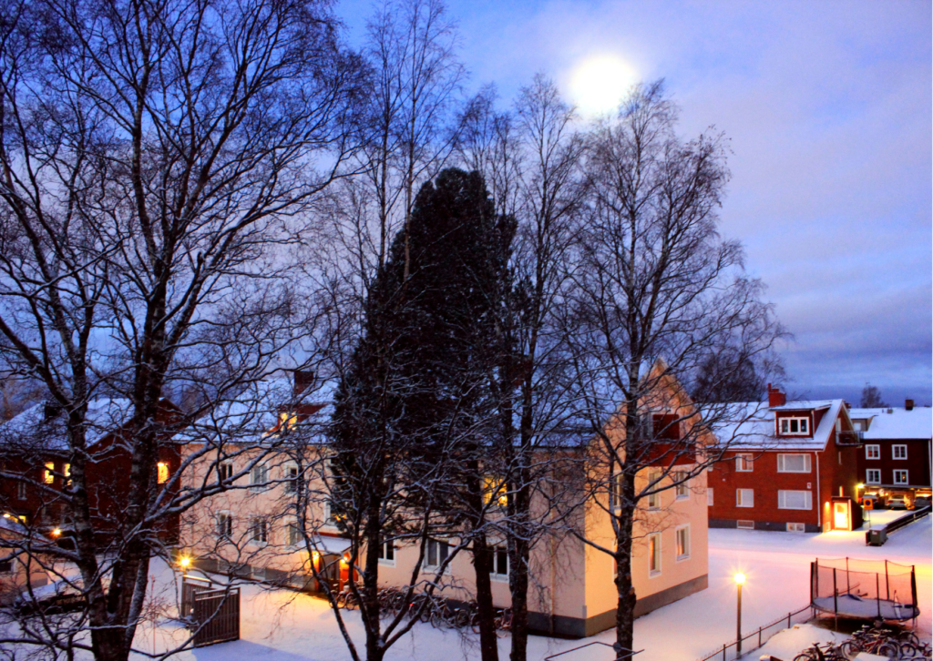 Swedish Winter - Where to Visit and How to Enjoy it? - Woman of Style ...