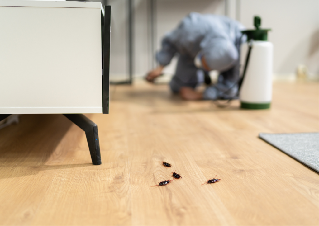 Pest Control Innovations That Are Revolutionizing The Industry - Woman ...